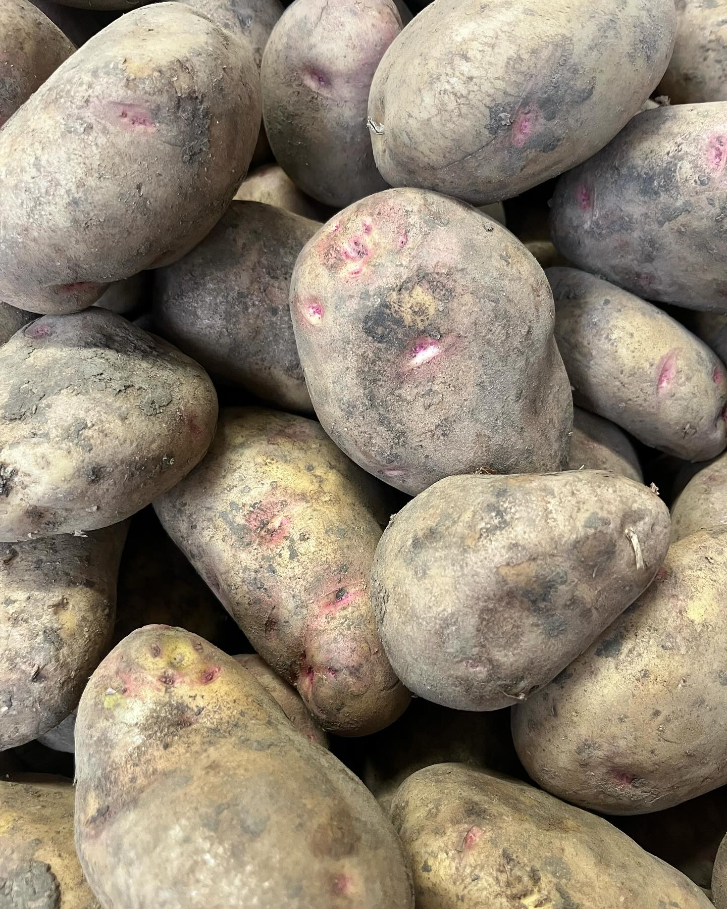Fruit & Veg Subscription Boxes - Deliciously Odd, Wonky Veg Boxes